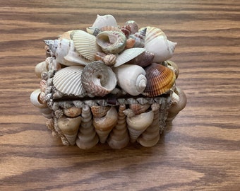 Seashell Jewelry Box - Etsy