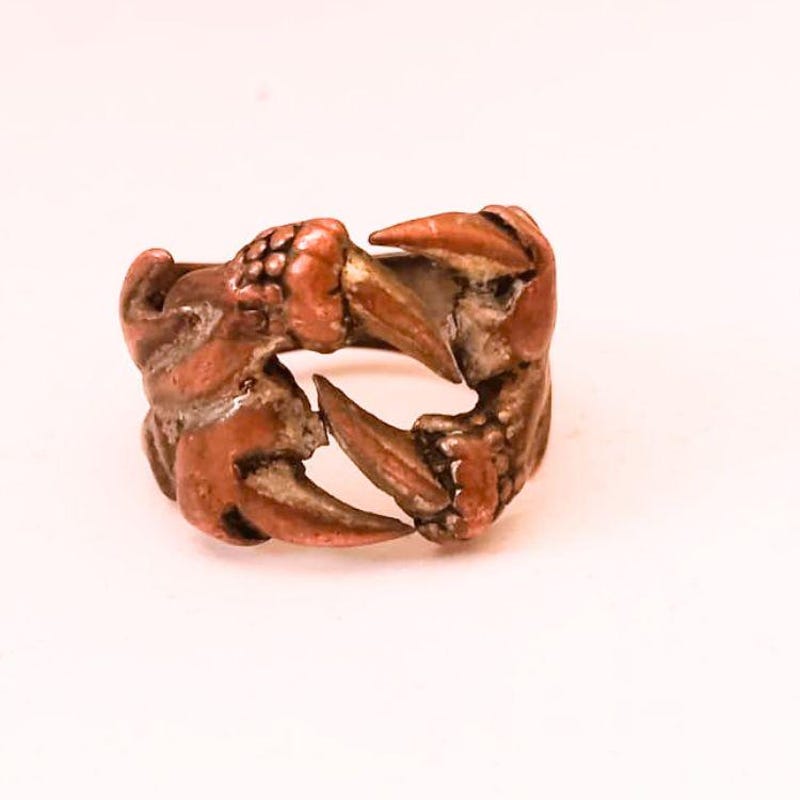 Bird Talon Ring - Etsy