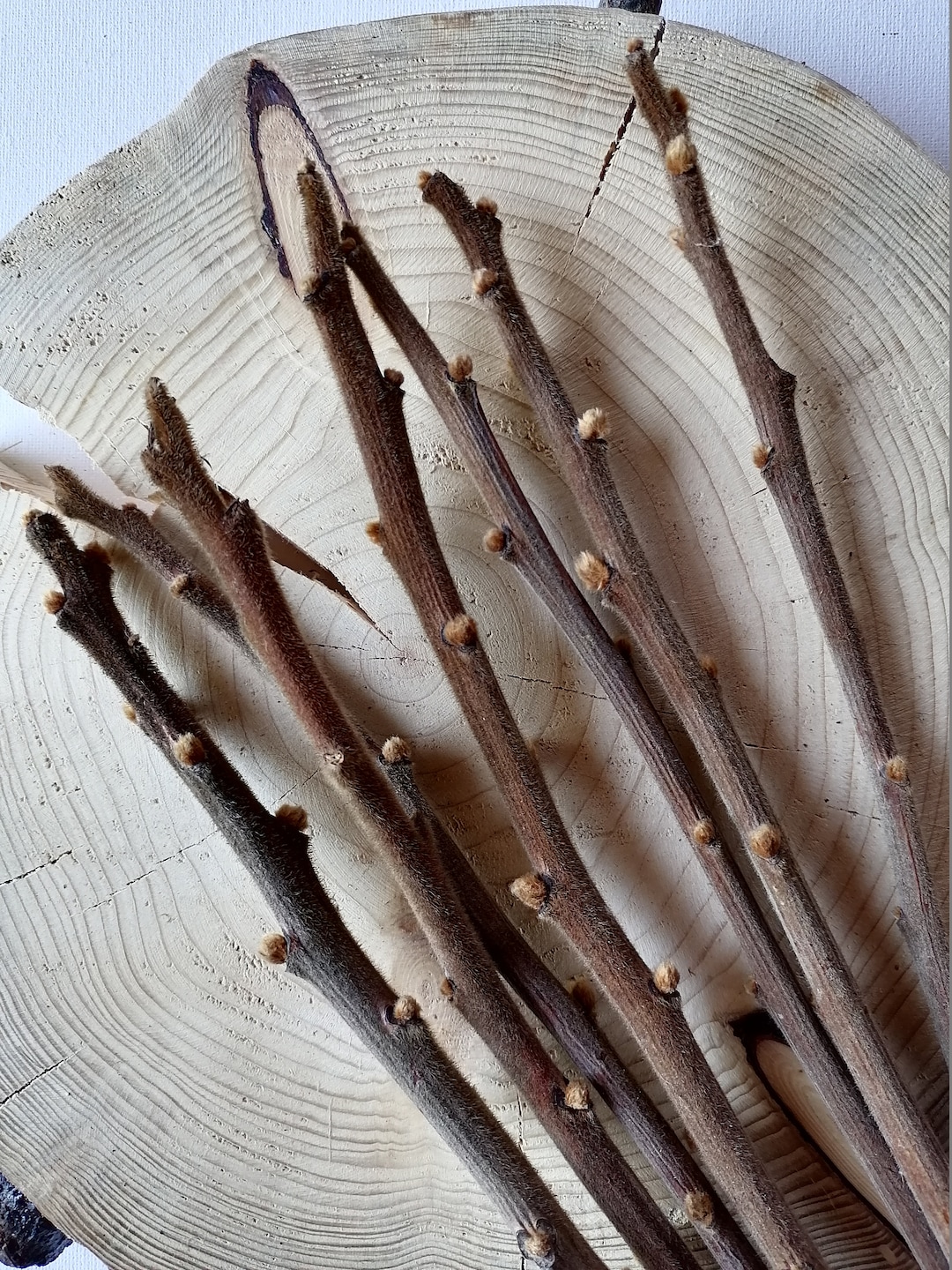 Dried Sumac Tree Branches, Set of 7, Natural Wood, Wooden Twigs, Craft ...