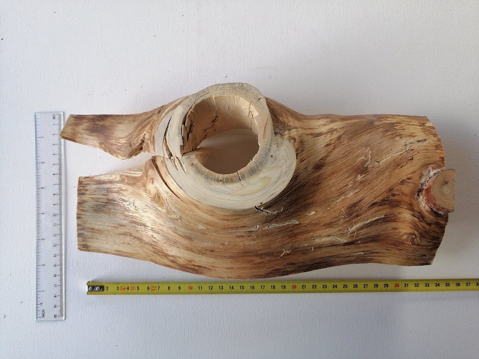 Natural Tree Log, Unique Wood Piece, Home Decor, Wooden Craft, Vivarium ...