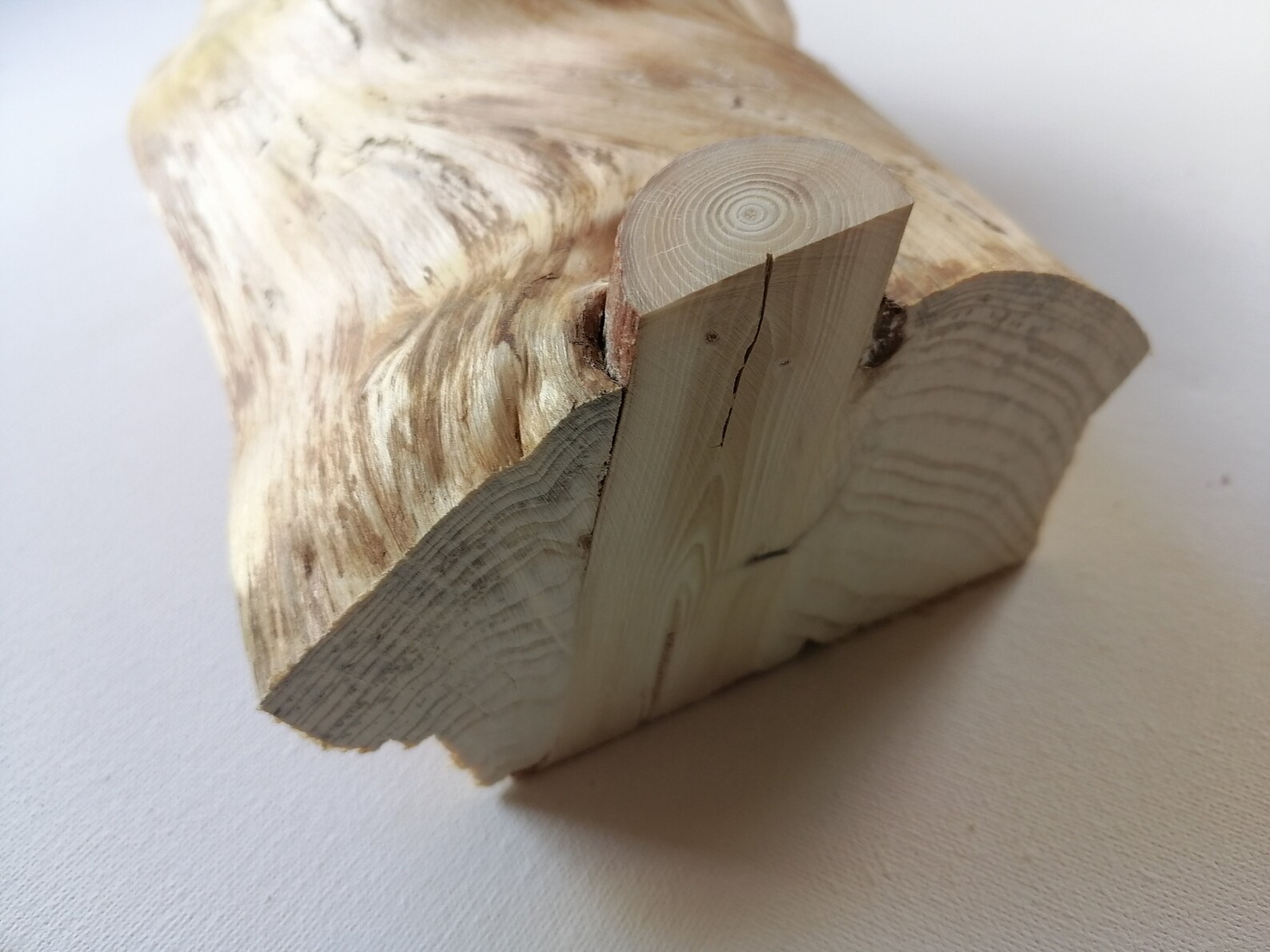 Natural Tree Log, Unique Wood Piece, Home Decor, Wooden Craft, Vivarium ...