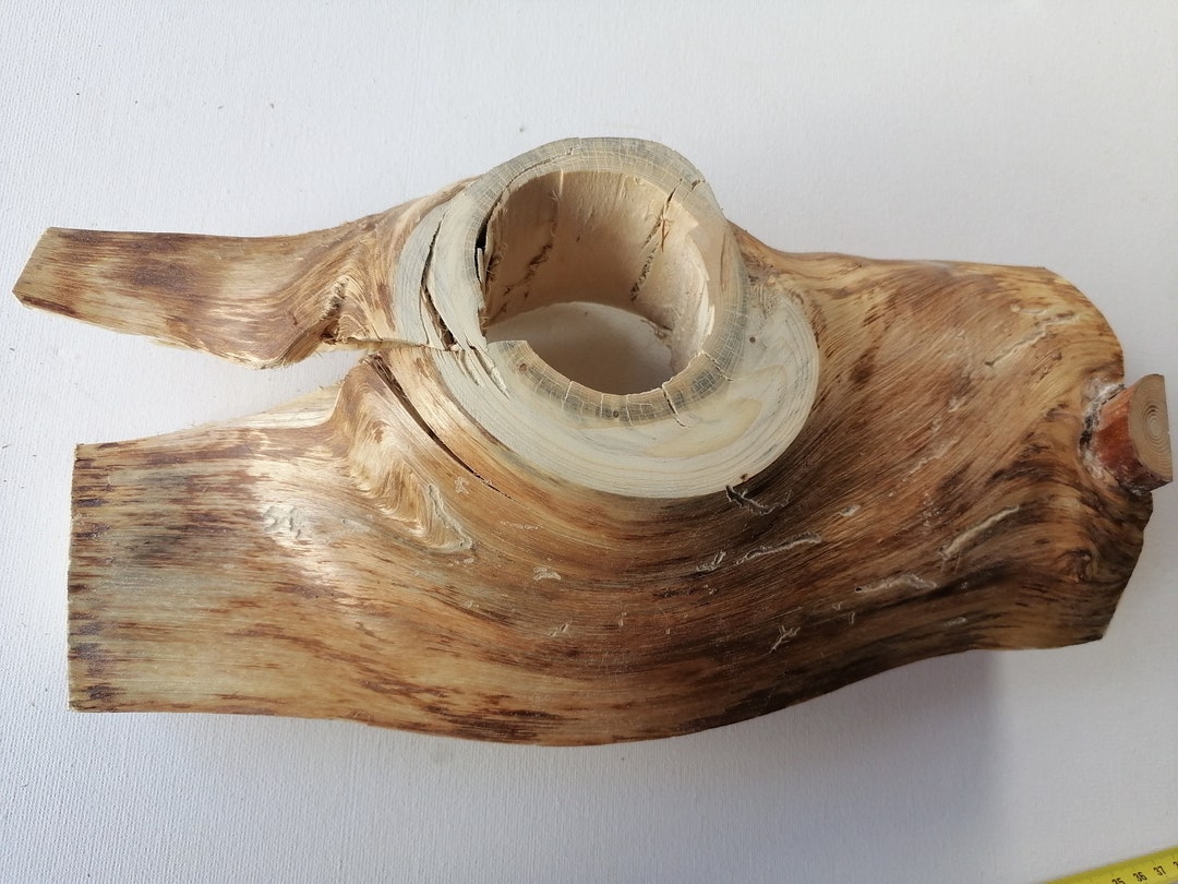 Natural Tree Log, Unique Wood Piece, Home Decor, Wooden Craft, Vivarium ...