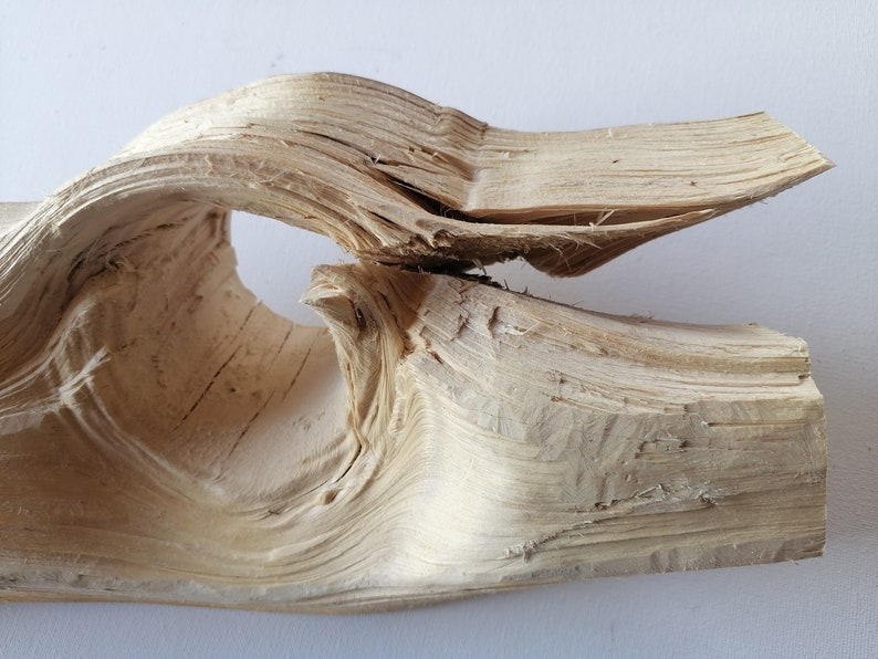 Natural Tree Log Unique Wood Piece Home Decor Wooden Craft - Etsy