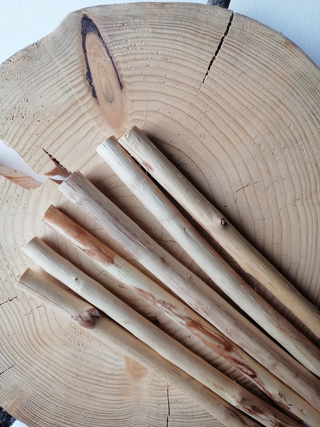 Set of Dried Tree Twigs, Natural Wood, Wooden Twigs, Craft's Supplies ...