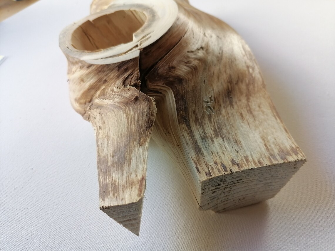 Natural Tree Log, Unique Wood Piece, Home Decor, Wooden Craft, Vivarium ...