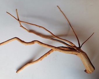 Natural Tree Log, Unique Wood Piece, Home Decor, Wooden Craft, Vivarium ...