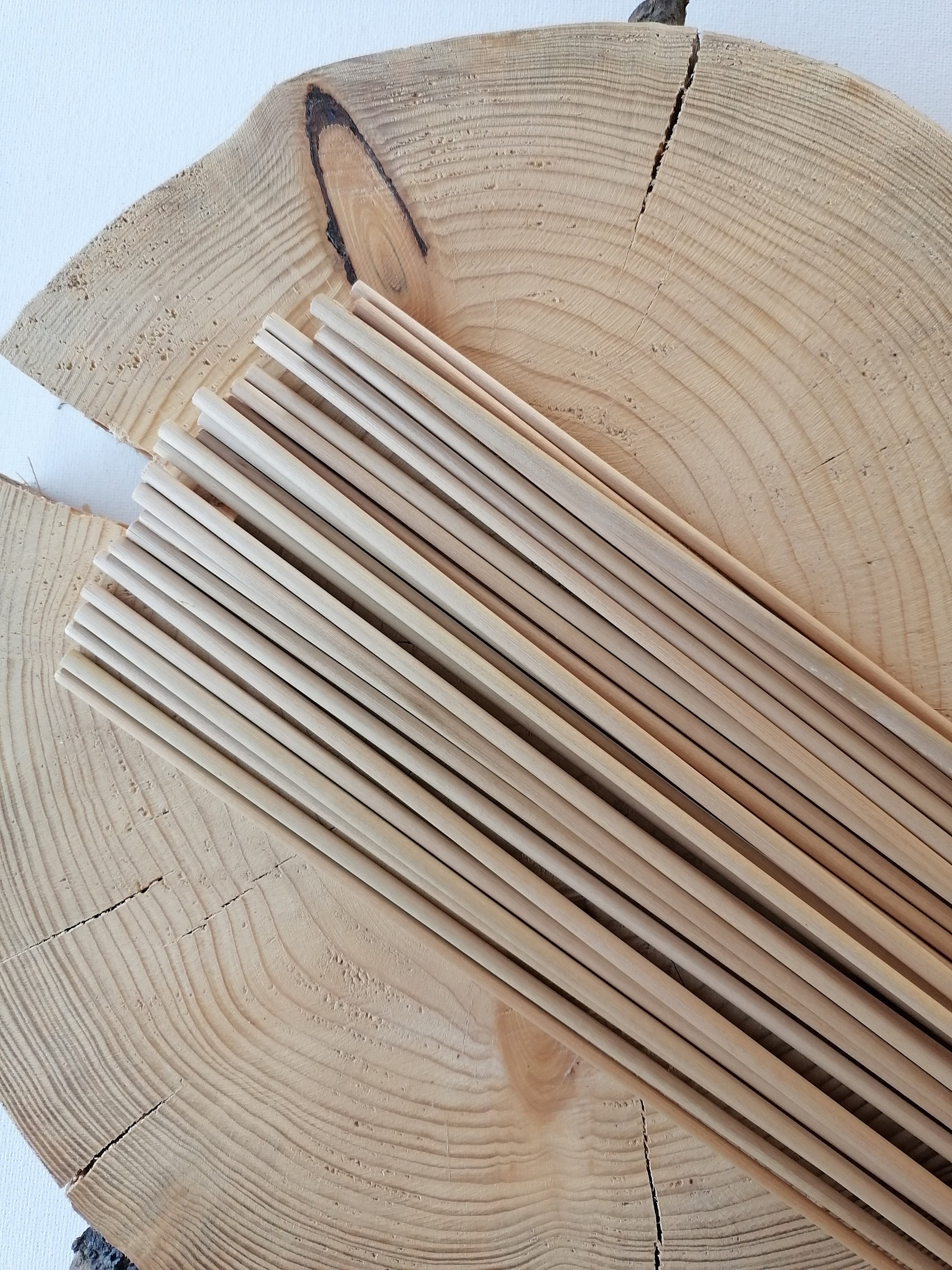 Dried Cattails Jumbo Stems, Floral Stems, 25 Pcs, Natural, Florist's ...