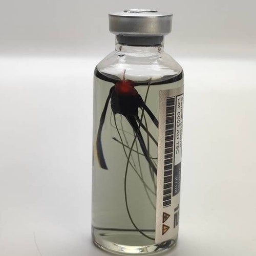 Resident Evil Plagas Type-3 - Etsy