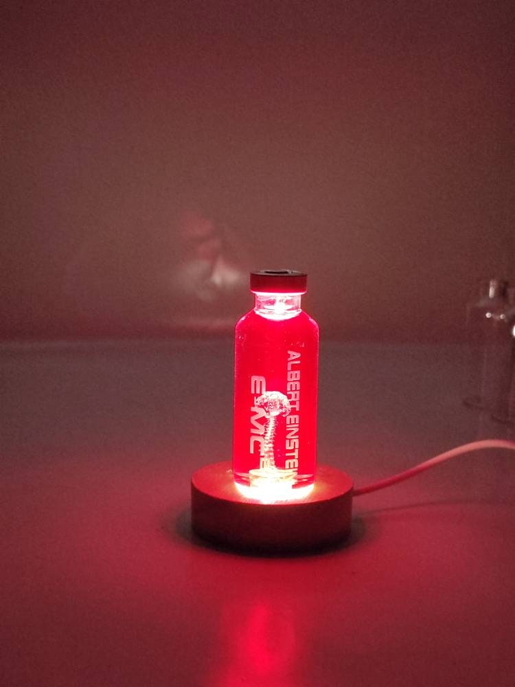 Albert Einstein Prop Brain light Stand Not Included - Etsy