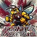 Hornets Basketball Design PNG Digital File. Maroon & Silver and Maroon ...