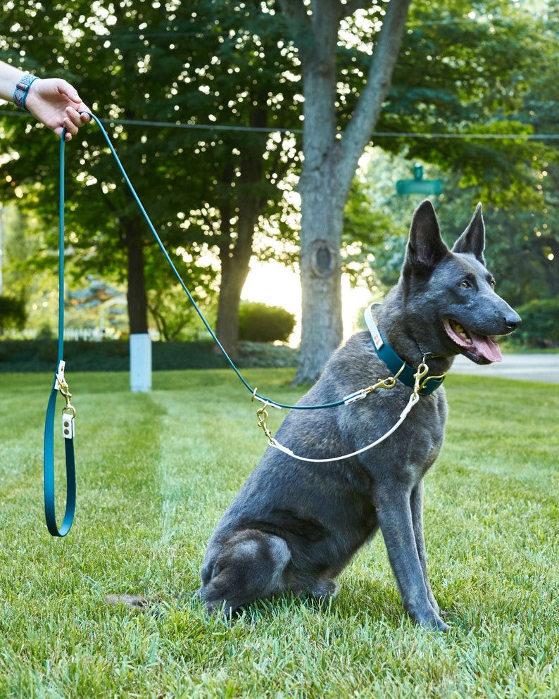 1-1/2 Waterproof Biothane Collar With Handle: Dock - Etsy