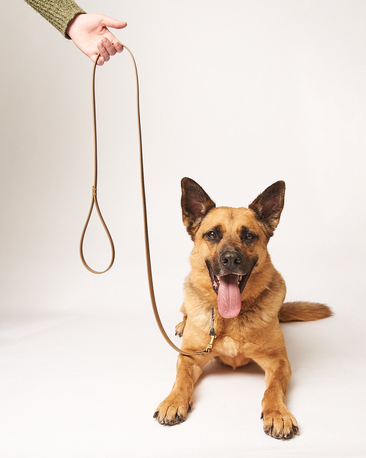 Standard 5 Foot Dog Leash: 1/2" Waterproof Biothane With Custom Colors ...