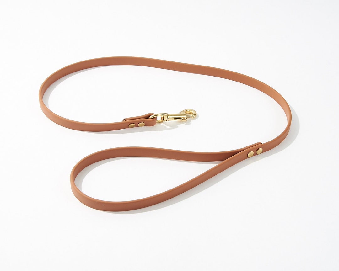 Standard 3 Foot Dog Leash: 1/2" Waterproof Biothane With Custom Colors ...