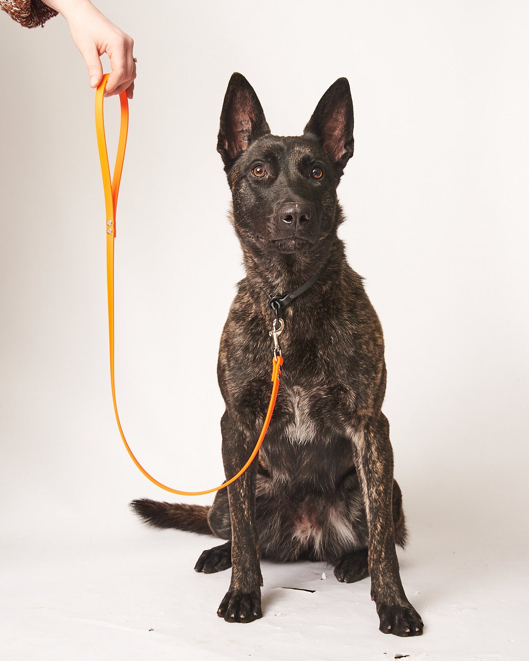 Standard 4 Foot Dog Leash: 1/2" Waterproof Biothane With Custom Colors ...