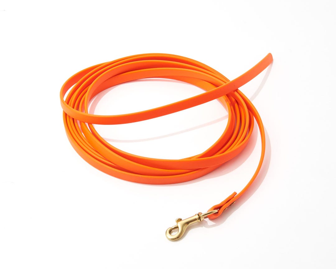 1/2" Waterproof Long Line: Biothane Tracking Drag Leash With Solid ...