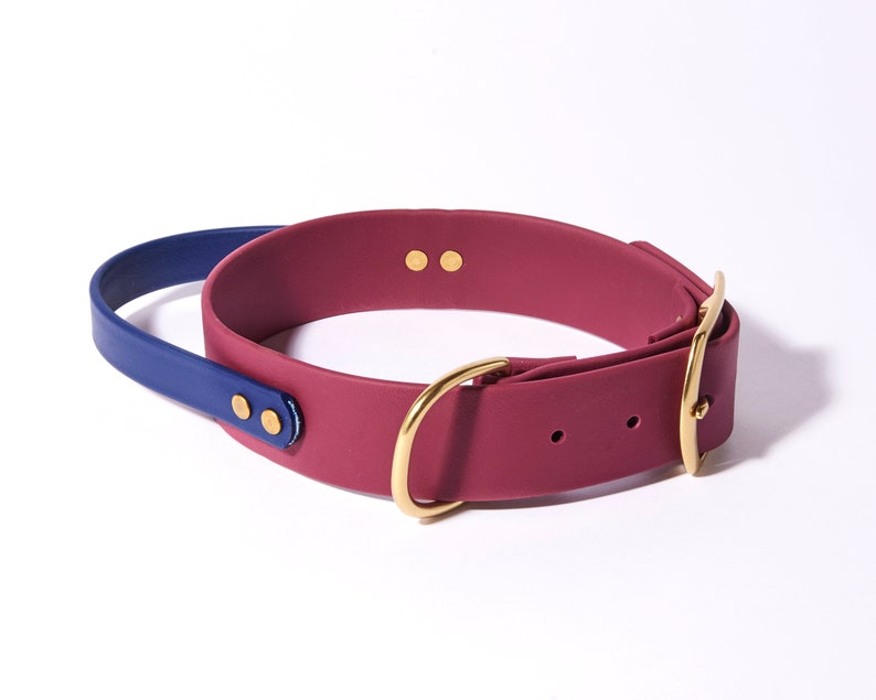 1-1/2 Waterproof Biothane Collar With Handle: Dock - Etsy