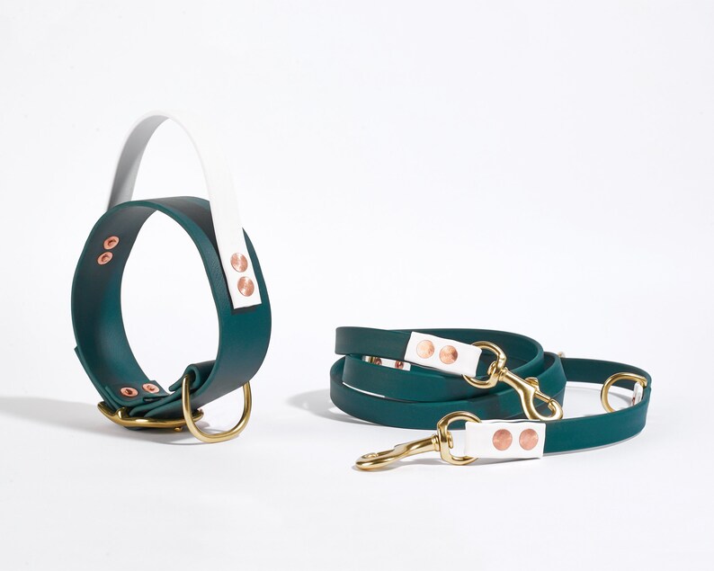 1-1/2 Waterproof Biothane Collar With Handle: Dock - Etsy