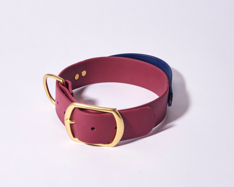 1-1/2 Waterproof Biothane Collar With Handle: Dock - Etsy