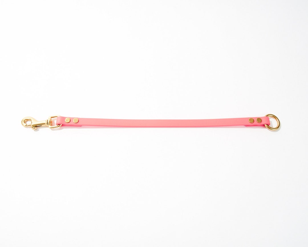 O-ring Dog Training Tab and Leash Extender: 1/2" Waterproof Biothane ...
