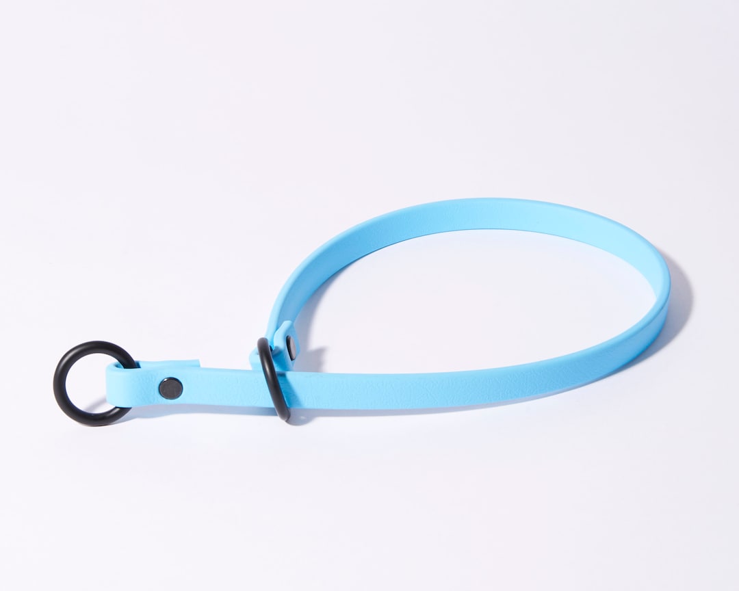 Waterproof Slip Collar: 1/2" Width Biothane Training Collar With Black ...