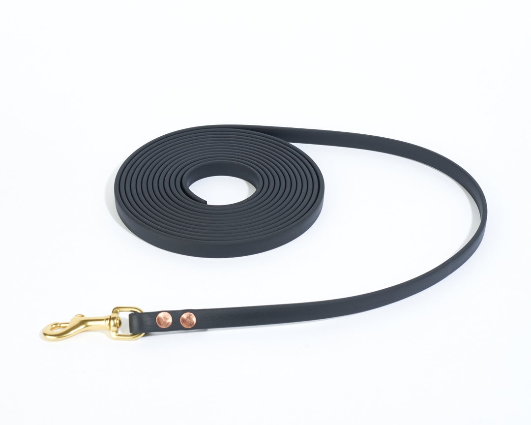 1/2 Waterproof Long Line: Biothane Tracking Drag Leash With Solid Brass ...