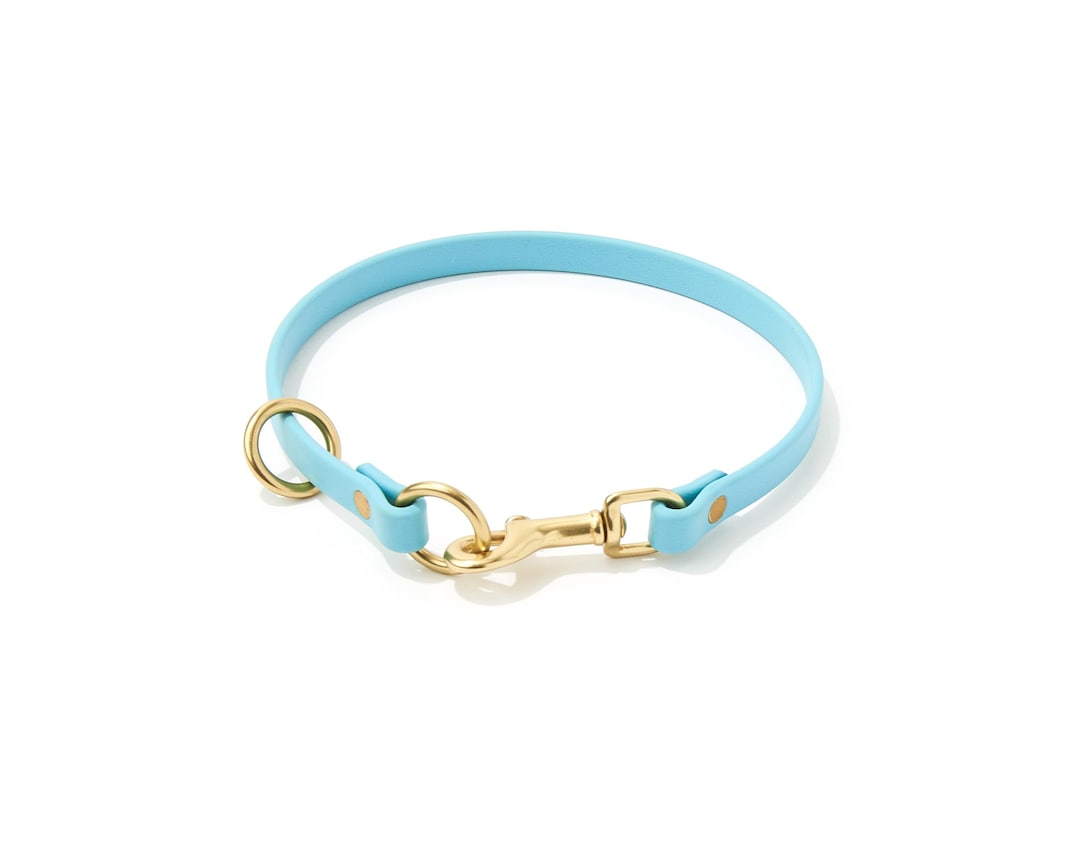 Multi-function Waterproof Dog Collar: 1/2" Biothane Tag and Slip Collar ...