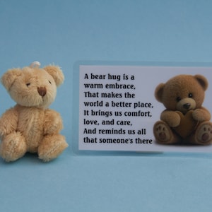 Pocket Bear Hug - Send a Super Cute Mini Bear to Someone in Need of a ...