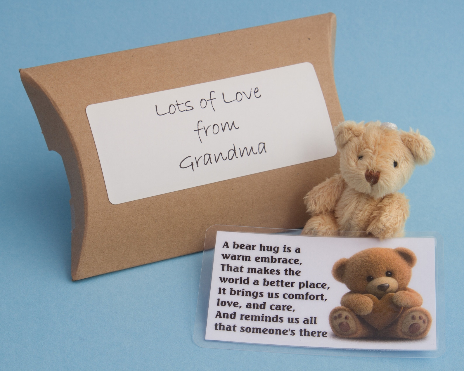 Pocket Bear Hug - Send a Super Cute Mini Bear to Someone in Need of a ...