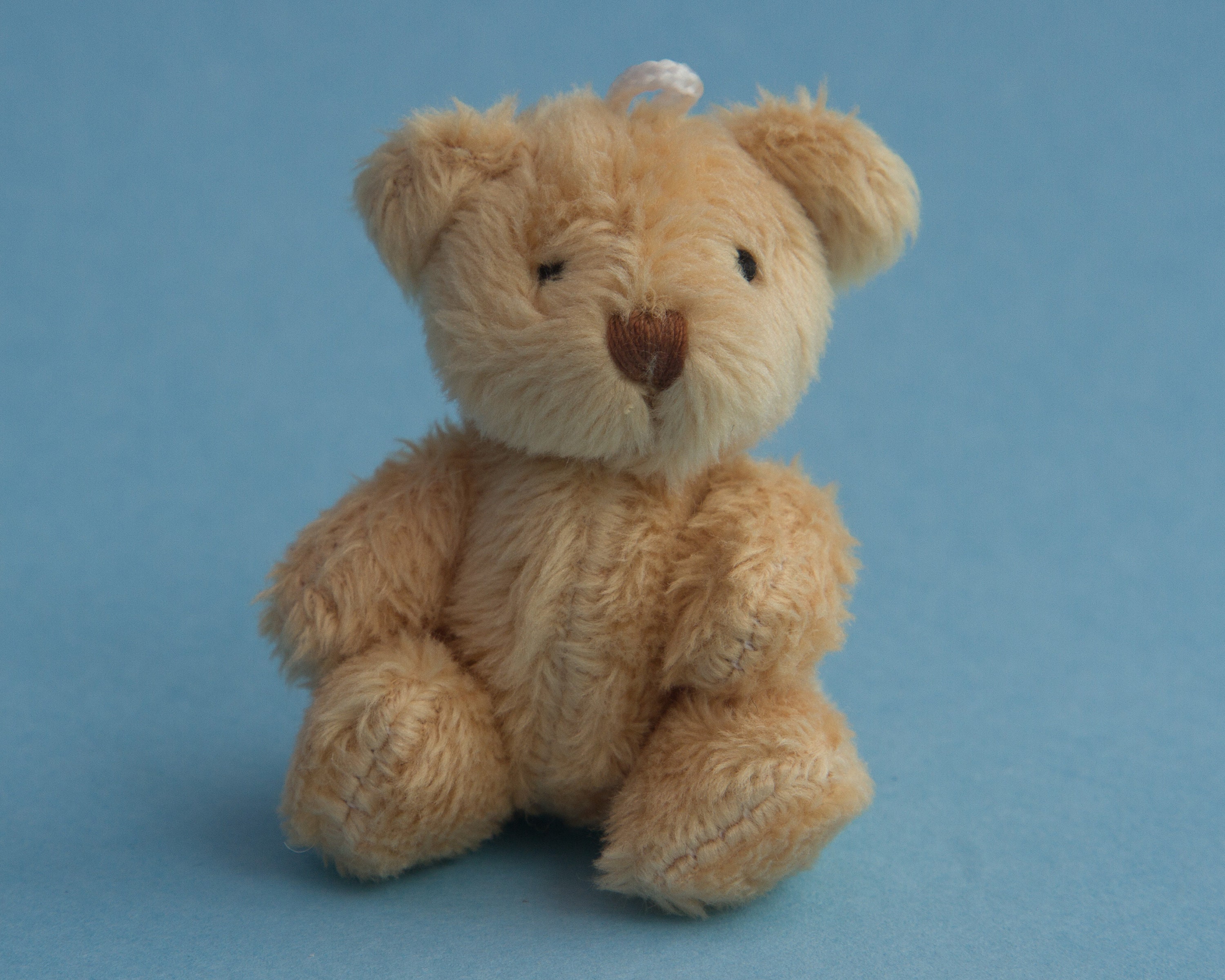 Pocket Bear Hug - Send a Super Cute Mini Bear to Someone in Need of a ...
