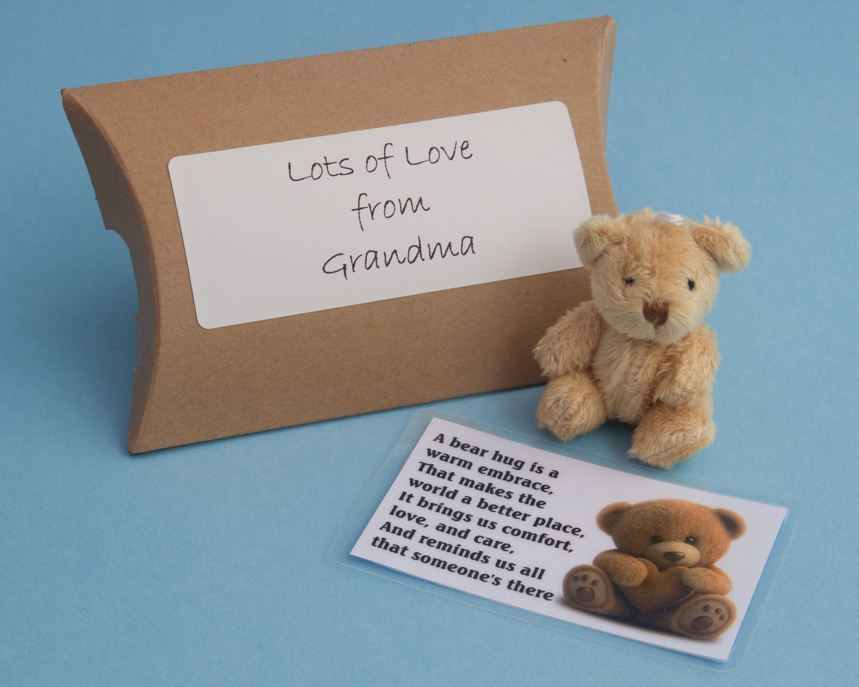 Pocket Bear Hug - Send a Super Cute Mini Bear to Someone in Need of a ...