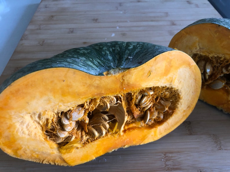 2 Organic Kabocha/japanese Pumpkin Starter Plants - Etsy