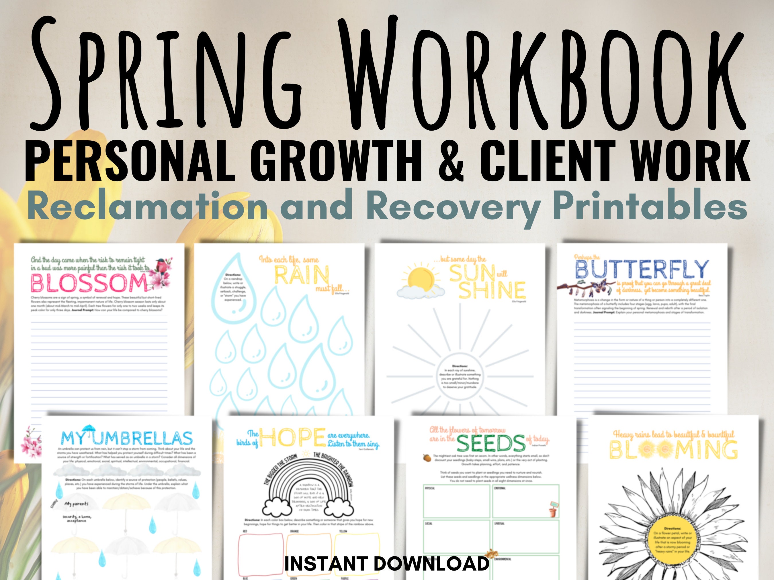 Spring Workbook, Self Development, Addiction Recovery, Rehab, Group ...