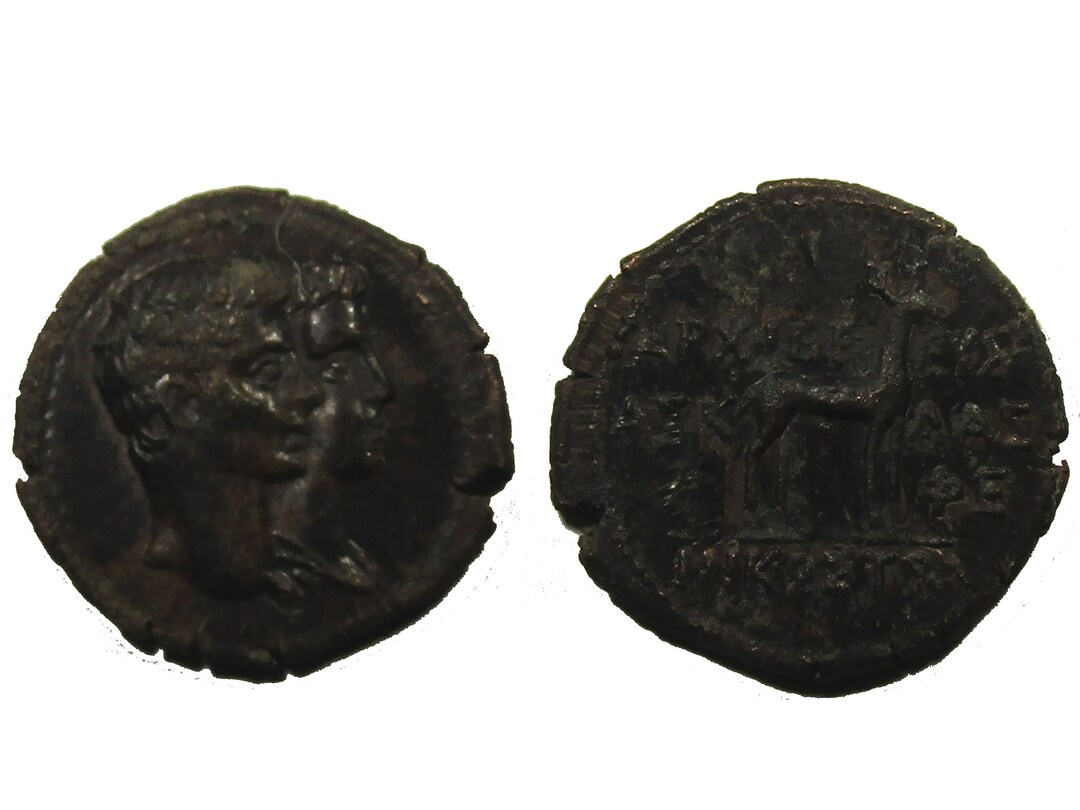 Rare Roman Bronze Provincial Coin of Octavian Augustus With Tiberius - Etsy