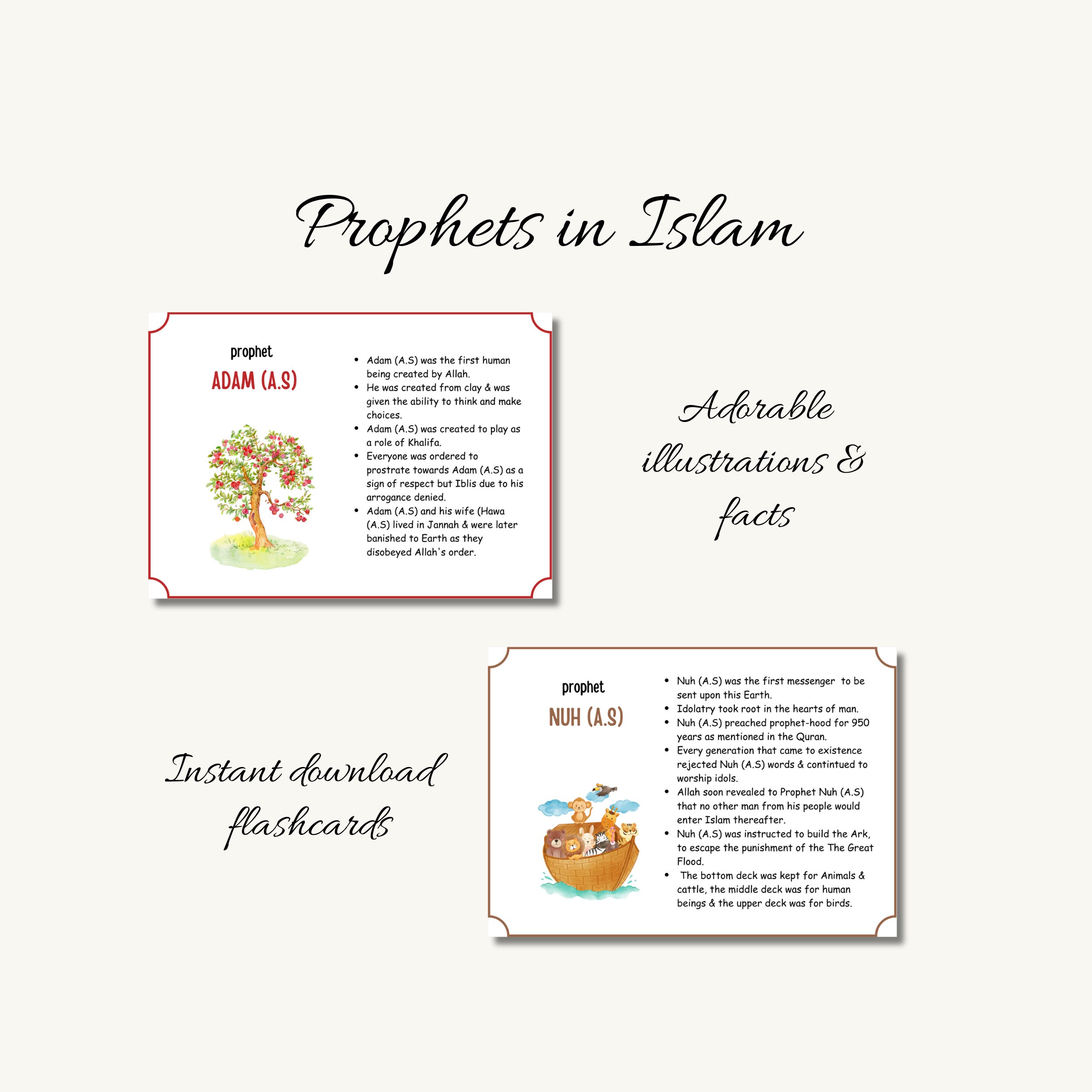 Prophets in Islam Cards for Kids, Prophets Flashcards, Prophets in ...