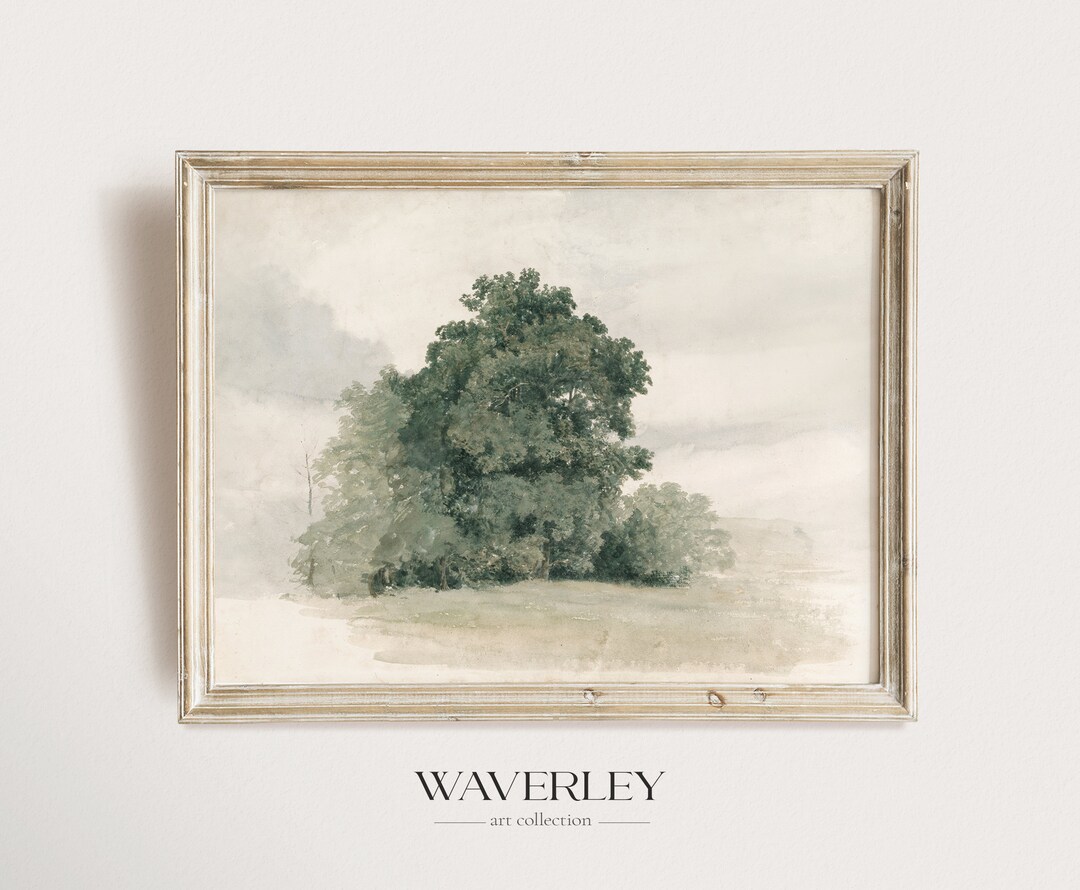 Vintage Tree Painting, Rural Scene, Tree Study, Watercolor Art, Rustic ...