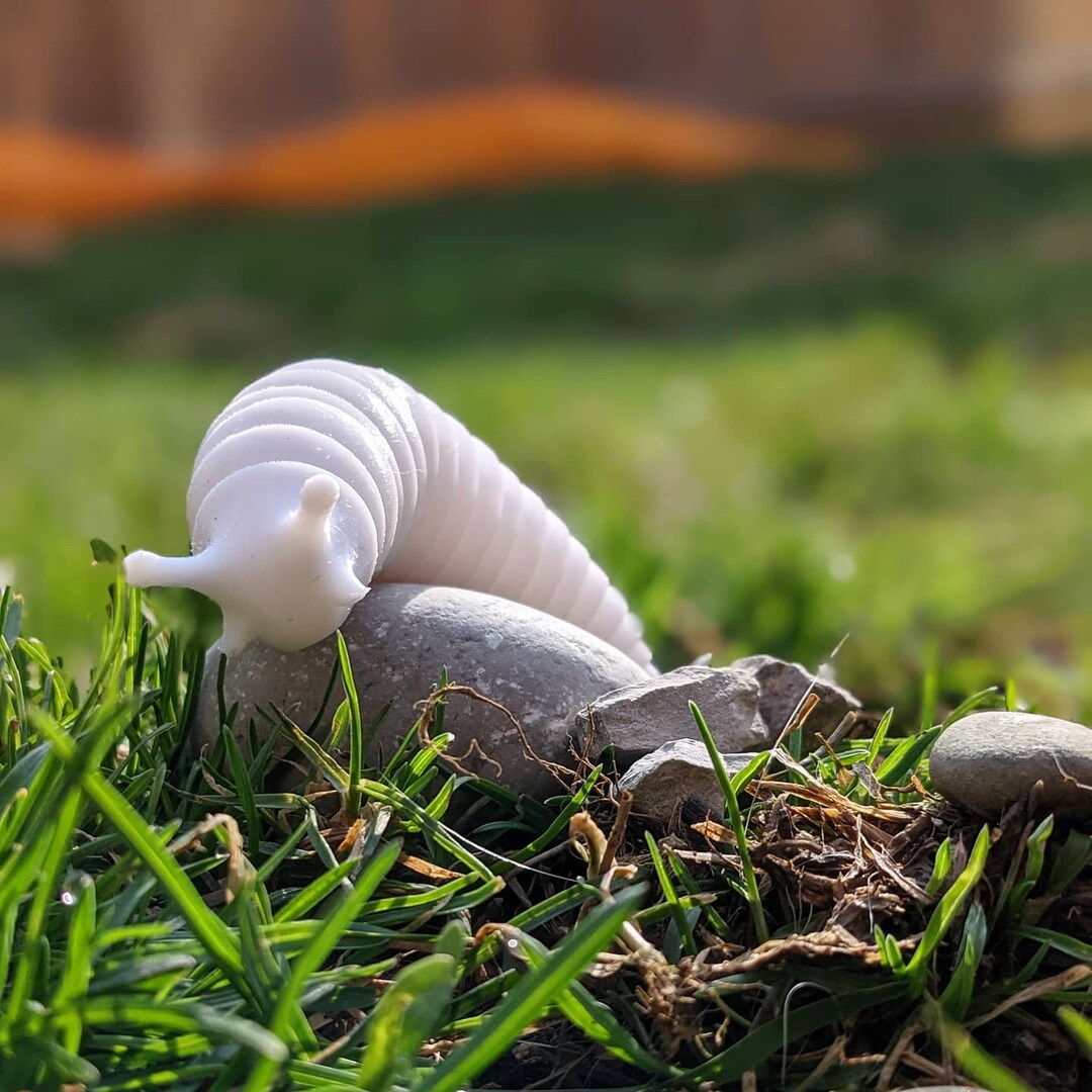 3D Printed Slinky Slug! Desk Accessory Articulated Slug - Moving Slug ...