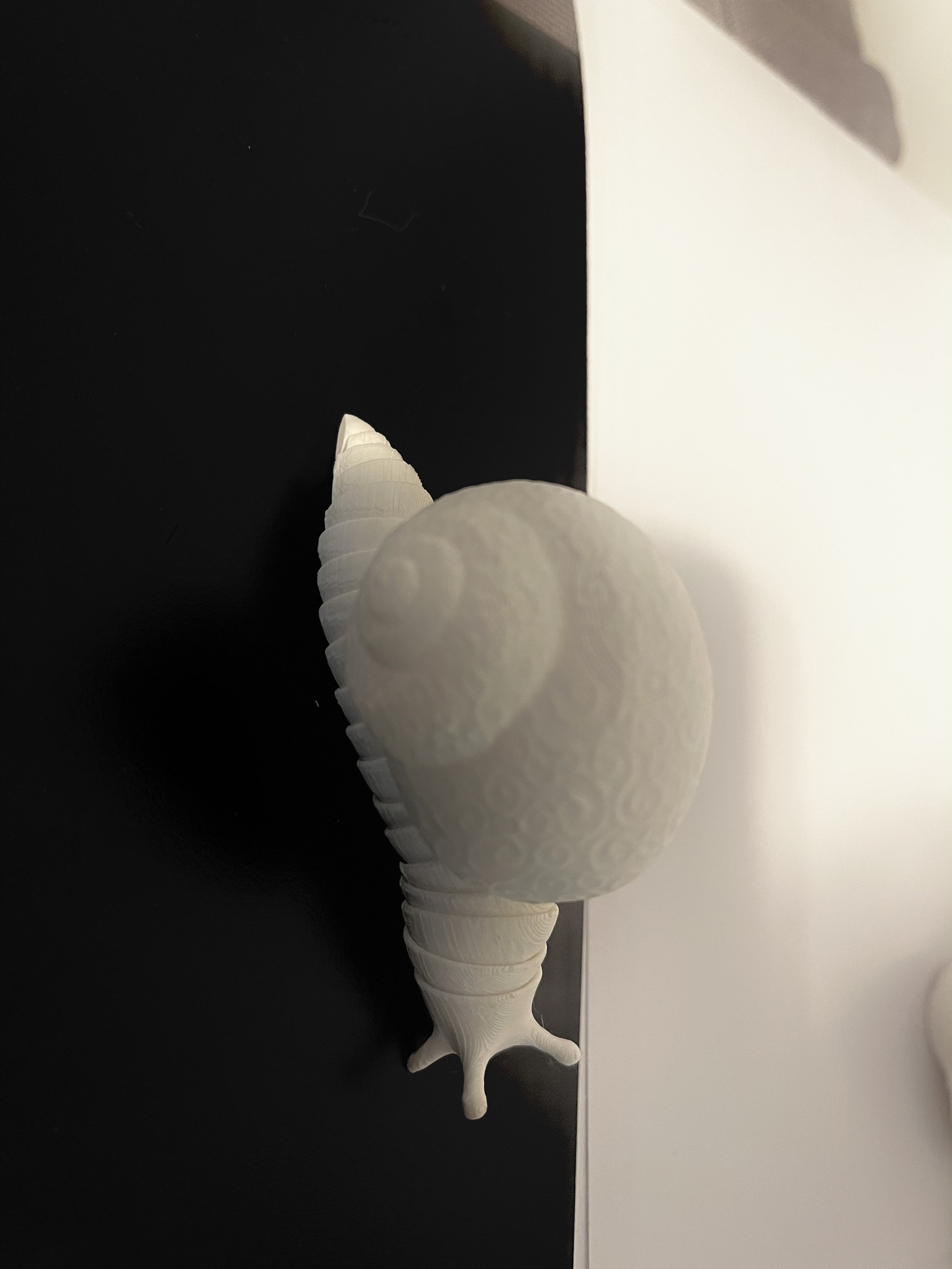 3D Printed Slinky Slug Desk Accessory Articulated Slug - Etsy Canada