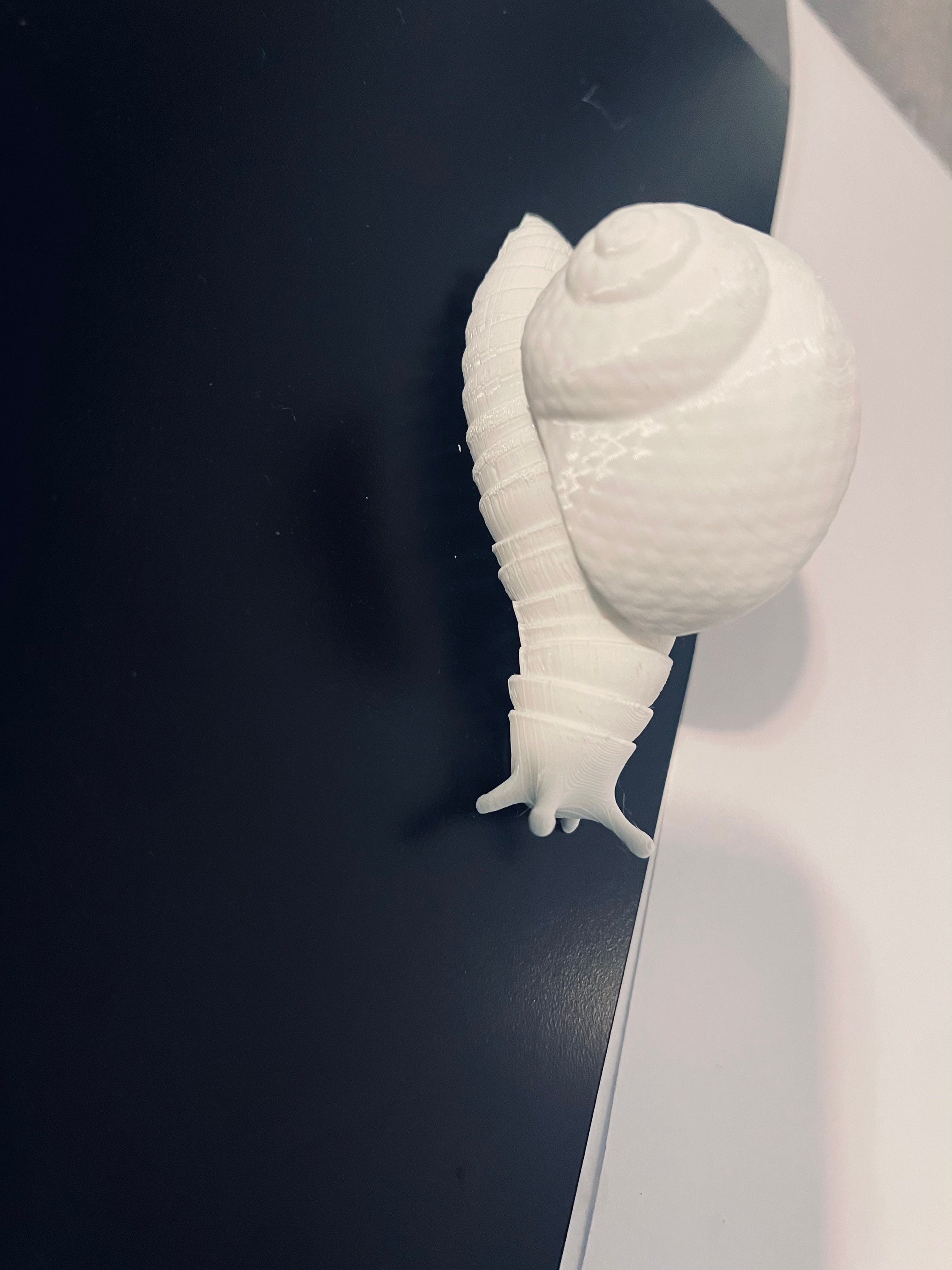 3D Printed Slinky Slug Desk Accessory Articulated Slug - Etsy Canada