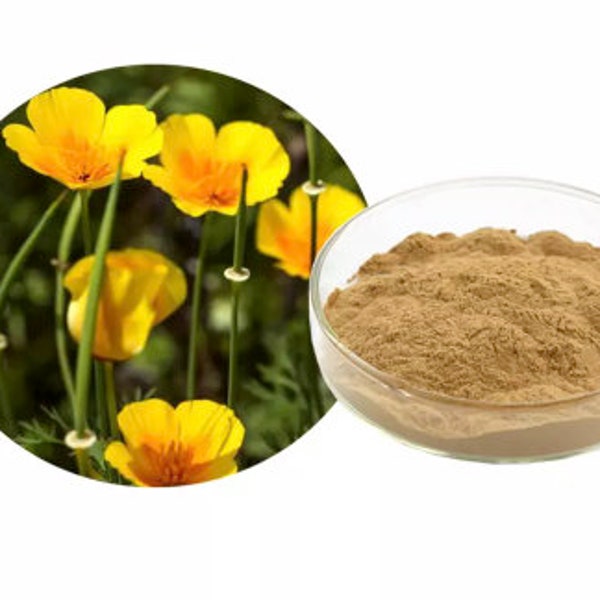 California Poppy - Etsy