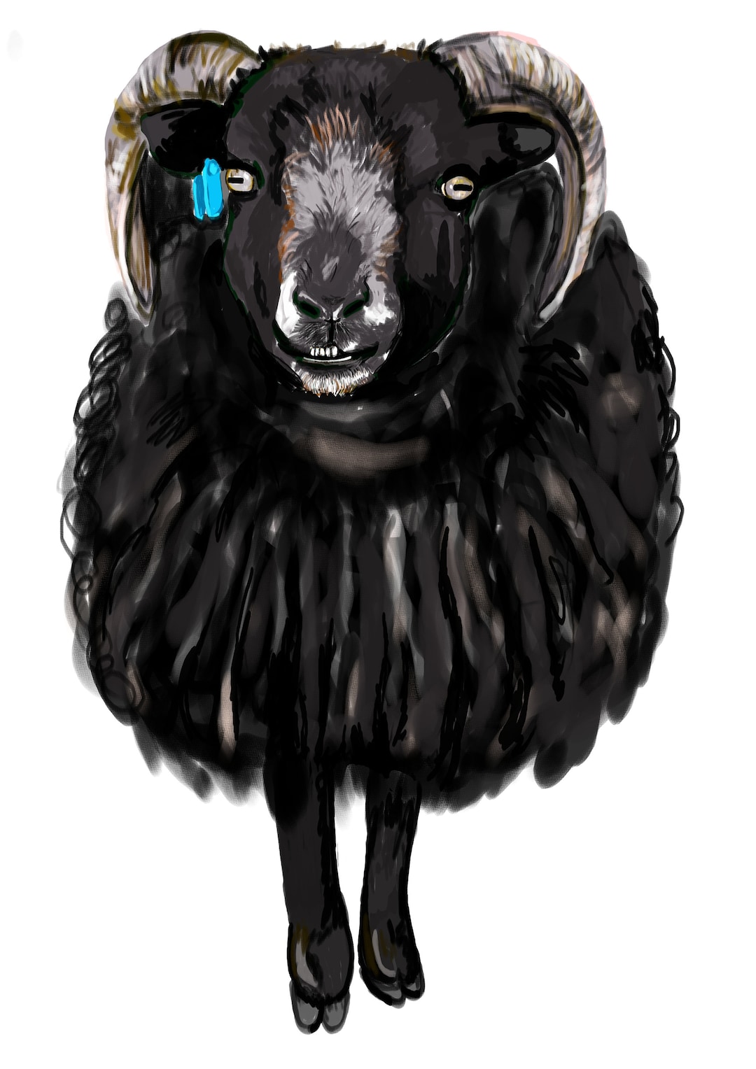 Black Sheep Print, Ouessant, Digital Print, Framed/unframed, Sheep ...