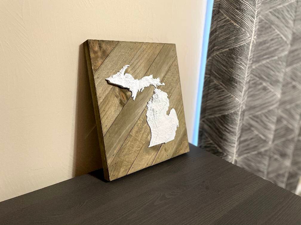 3D Terrain/topographical Map of Michigan - Etsy