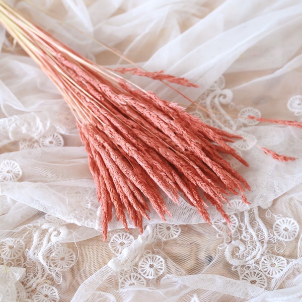 Timothy Grass Etsy