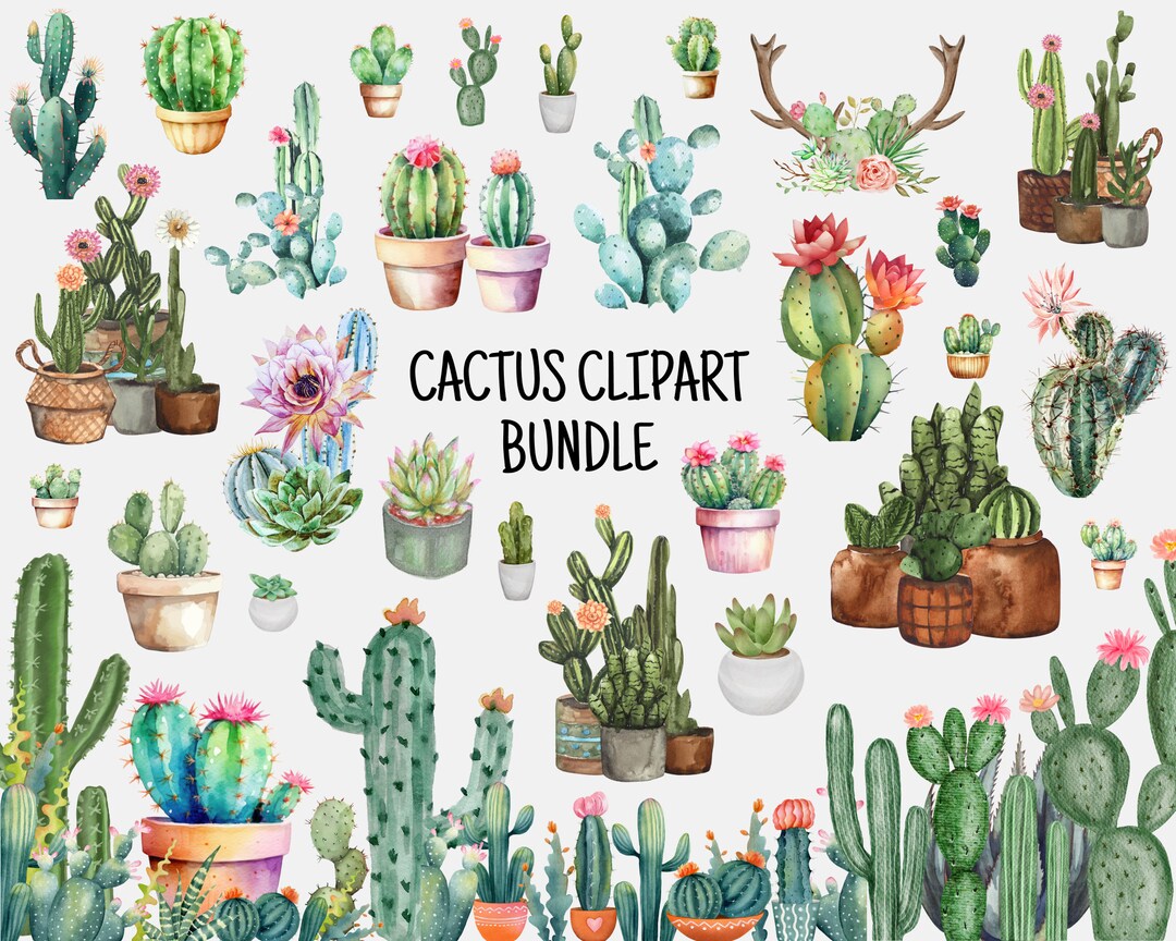 Cactus Clipart Watercolor Bundle, Cacti PNG, Cactus Stickers Succulents ...
