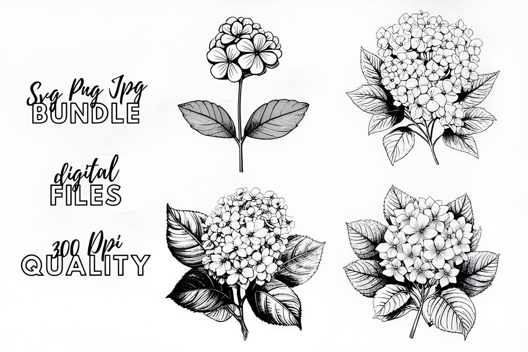 Hydrangea SVG Bundle - Clipart PNG Flowers - Blossom Your Craft ...