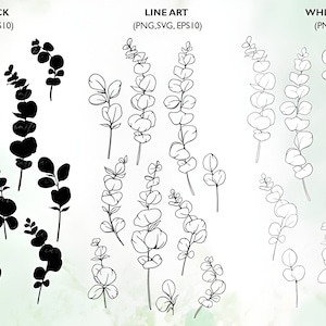 Eucalyptus SVG Bundle - 45 Eucalyptus Plant Svg Files for Cricut - Etsy