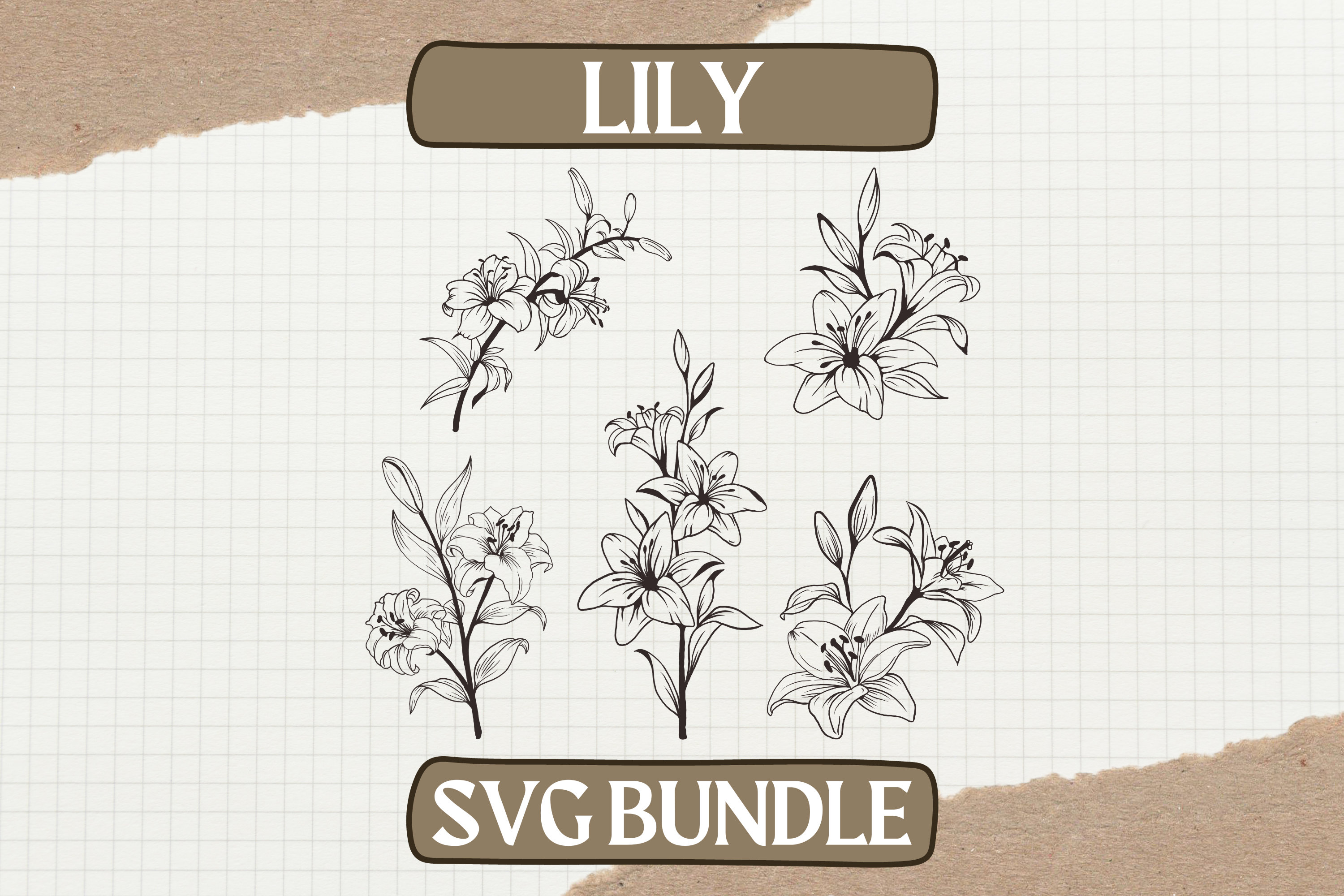 Lily SVG Bundle - Floral Design Elements for Cricut, Silhouette, and ...