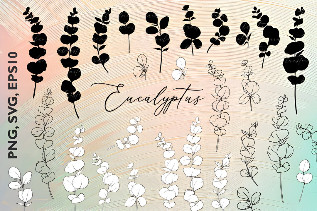 Eucalyptus SVG Bundle - 45 Eucalyptus Plant Svg Files for Cricut - Etsy