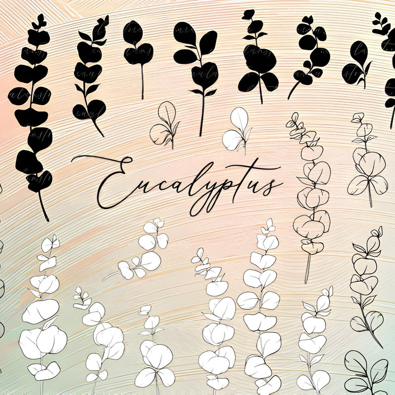 Eucalyptus Svg - Etsy