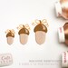 Mini Acorn With Bow Embroidery Design: Fall Accent (digital Download ...