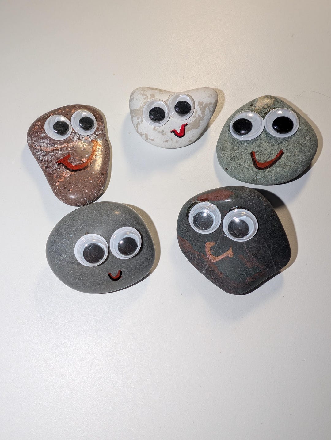 The Ultimate Stone Friend, Pet Rock, Rock Companion, Stone Buddy, Rock ...